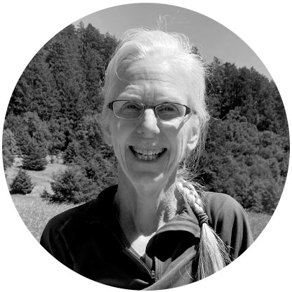 Case Study Sessions – Therapy Insights
