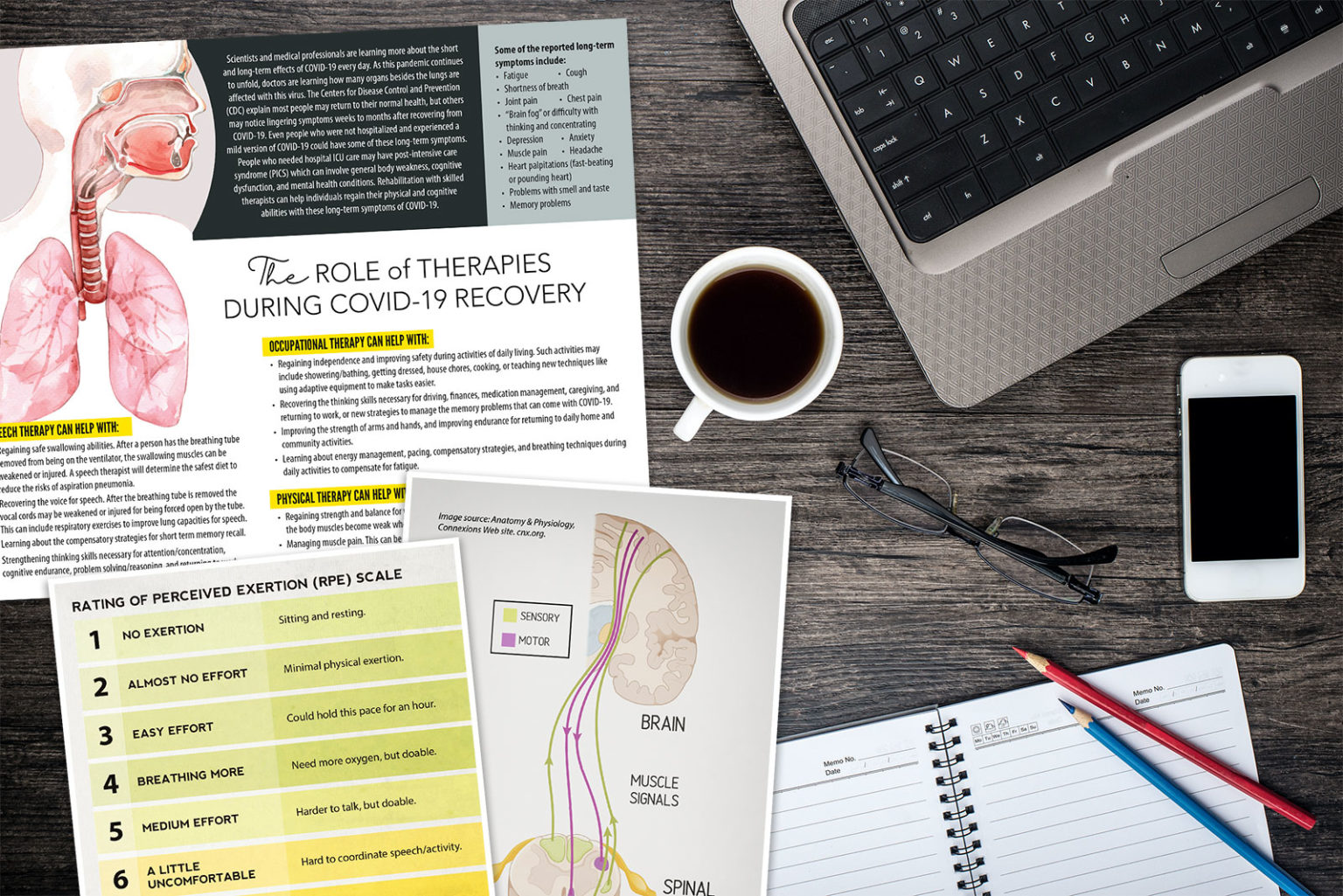 Features Therapy Insights