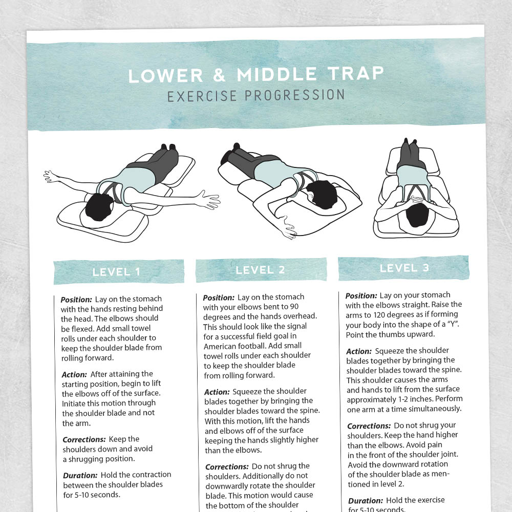 Lower Trapezius Exercises