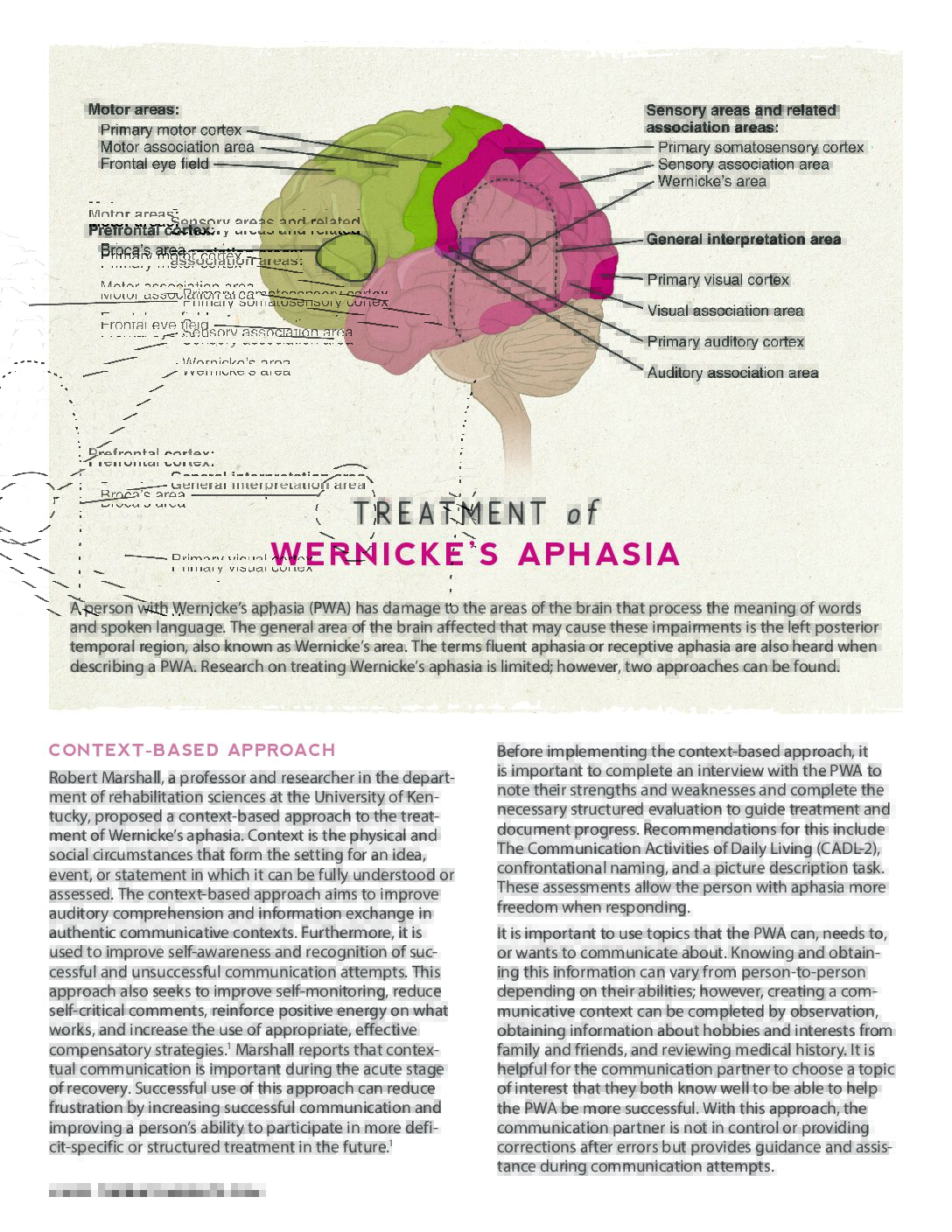 Aphasia Archives – Therapy Insights