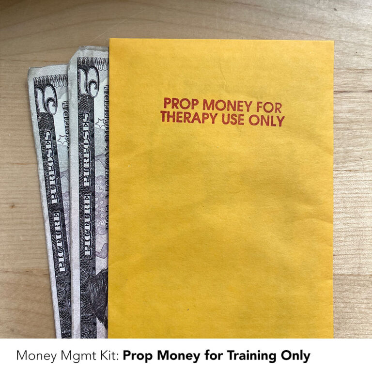Money Management Kit – Therapy Insights