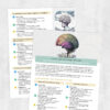June Therapy Resource Roundup: Tools for Real-World Care : Therapy Insights