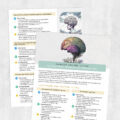 June Therapy Resource Roundup: Tools for Real-World Care : Therapy Insights